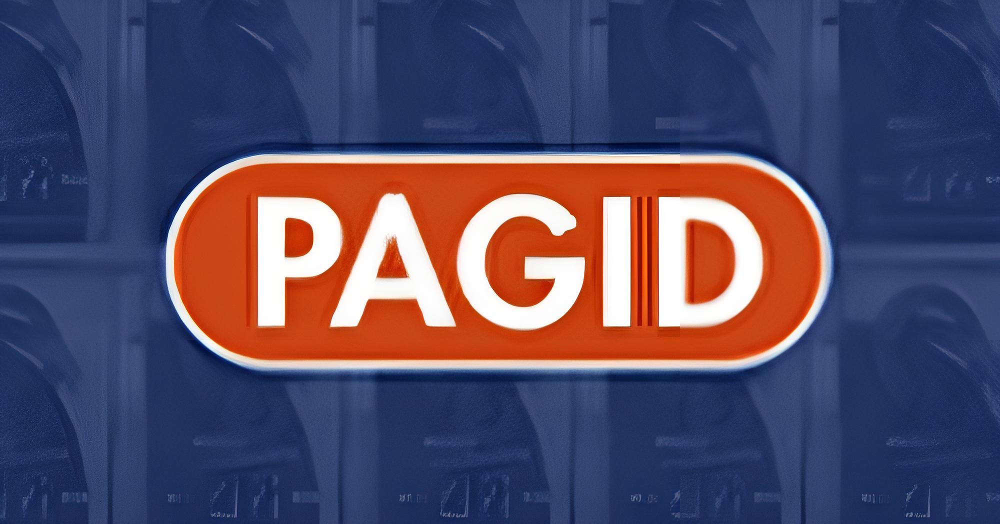 PAGID RACING | 芝ライニングジャパン